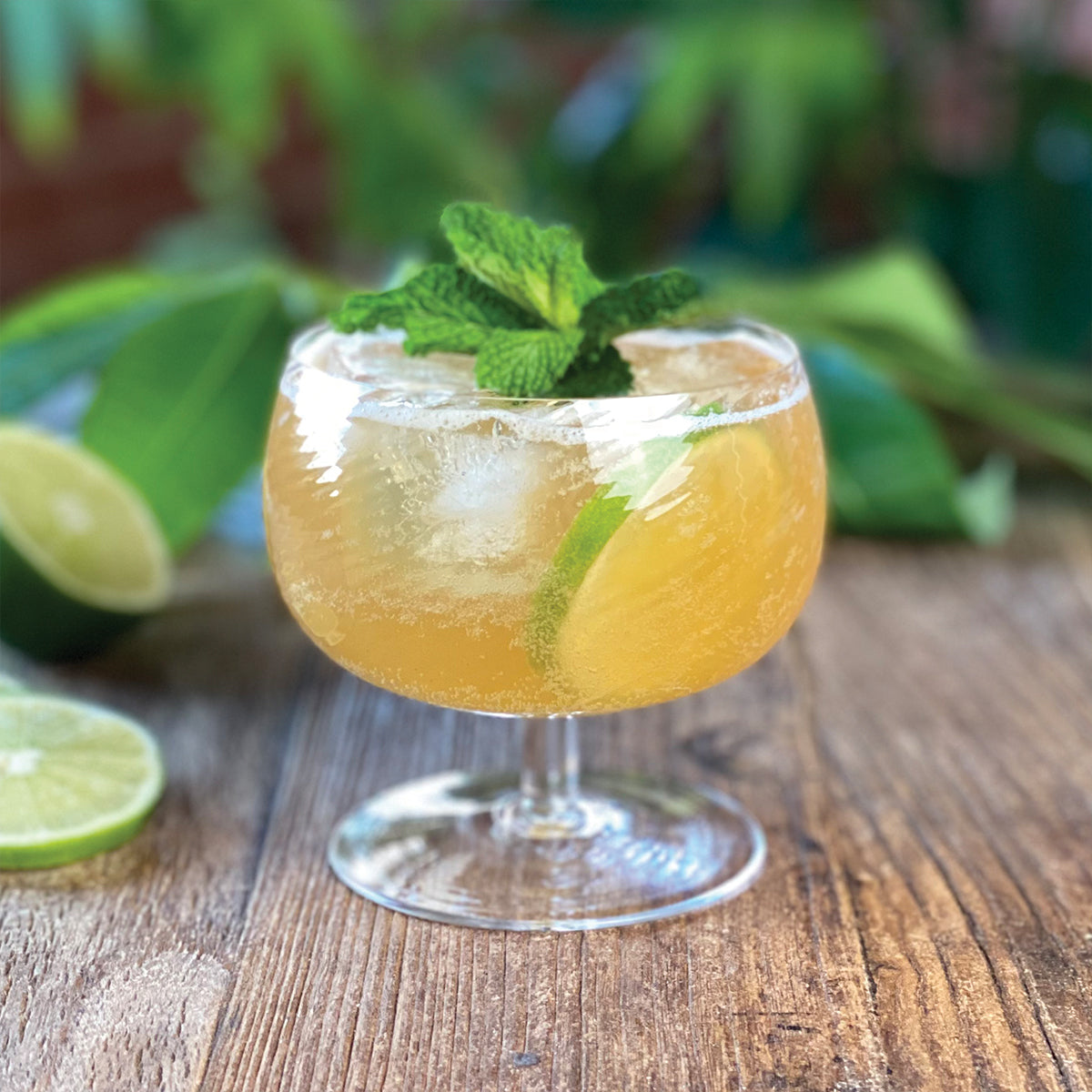 1pt Island Mule Cocktail Recipe – One Part Co