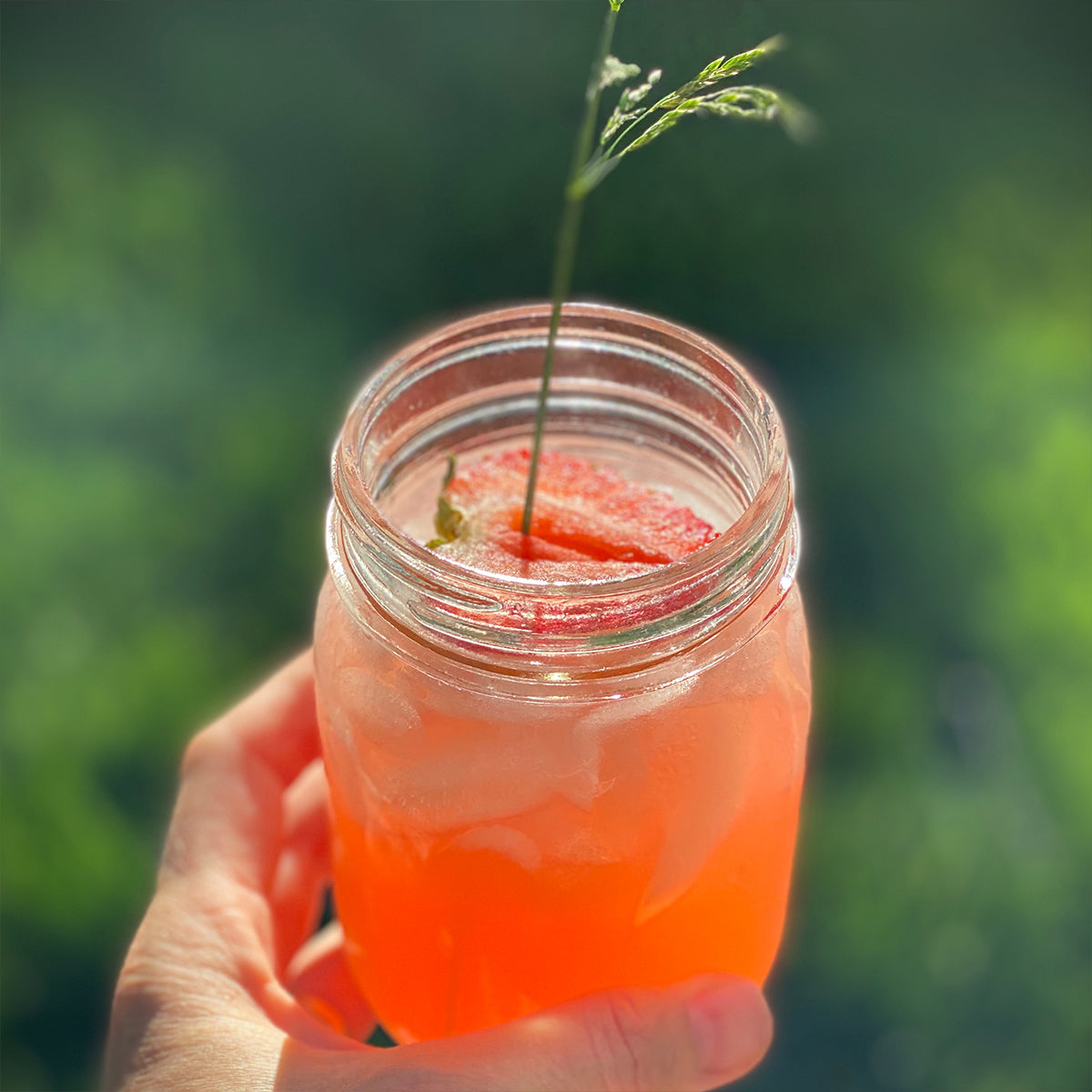 1pt Marrakech Lemonade (a Gin Cocktail Recipe) – One Part Co